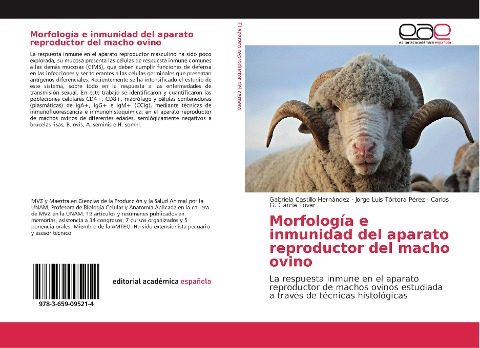 Morfología e inmunidad del aparato reproductor del macho ovino ...