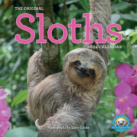 Original Sloths Wall Calendar 2024 | Buchhandlung Graff in Braunschweig