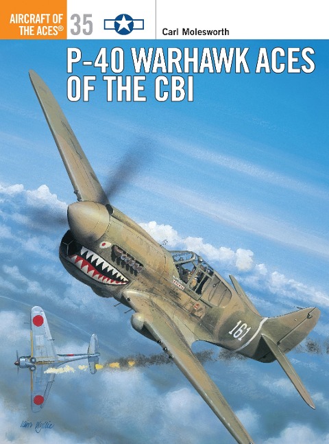 P-40 Warhawk Aces of the CBI (E-Book) | Buchhandlung Graff in Braunschweig