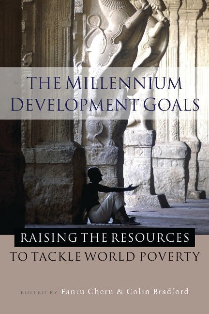The Millennium Development Goals (E-Book) | Buchhandlung Graff in ...